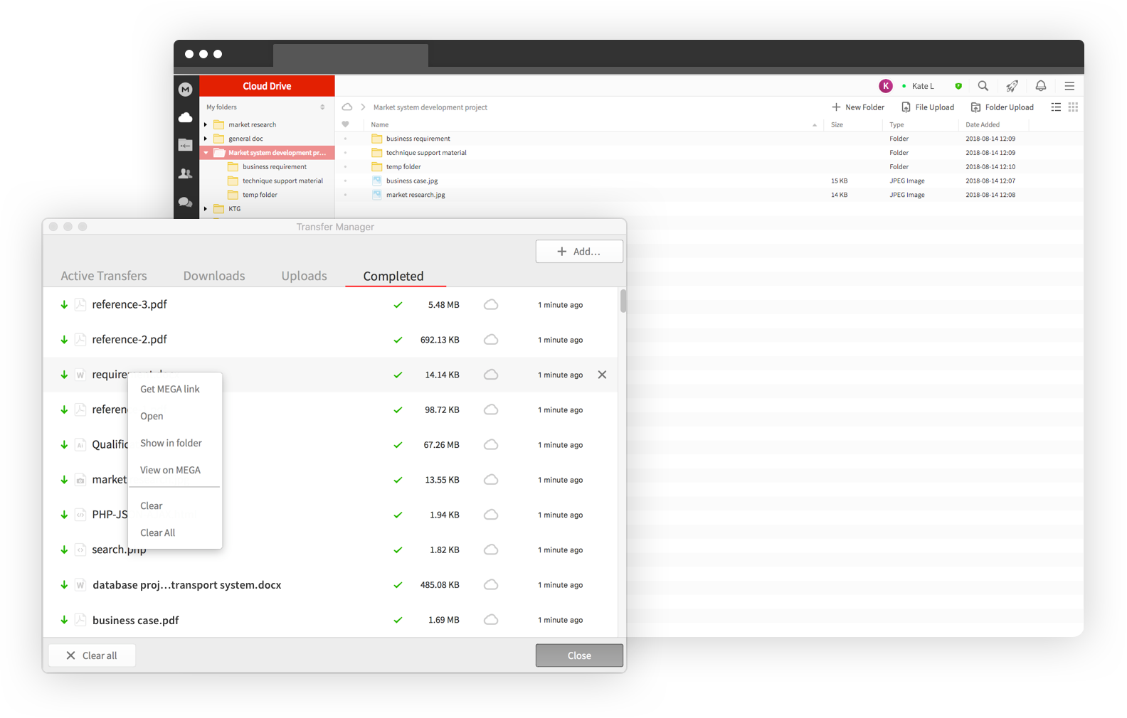 Desktop App MEGA